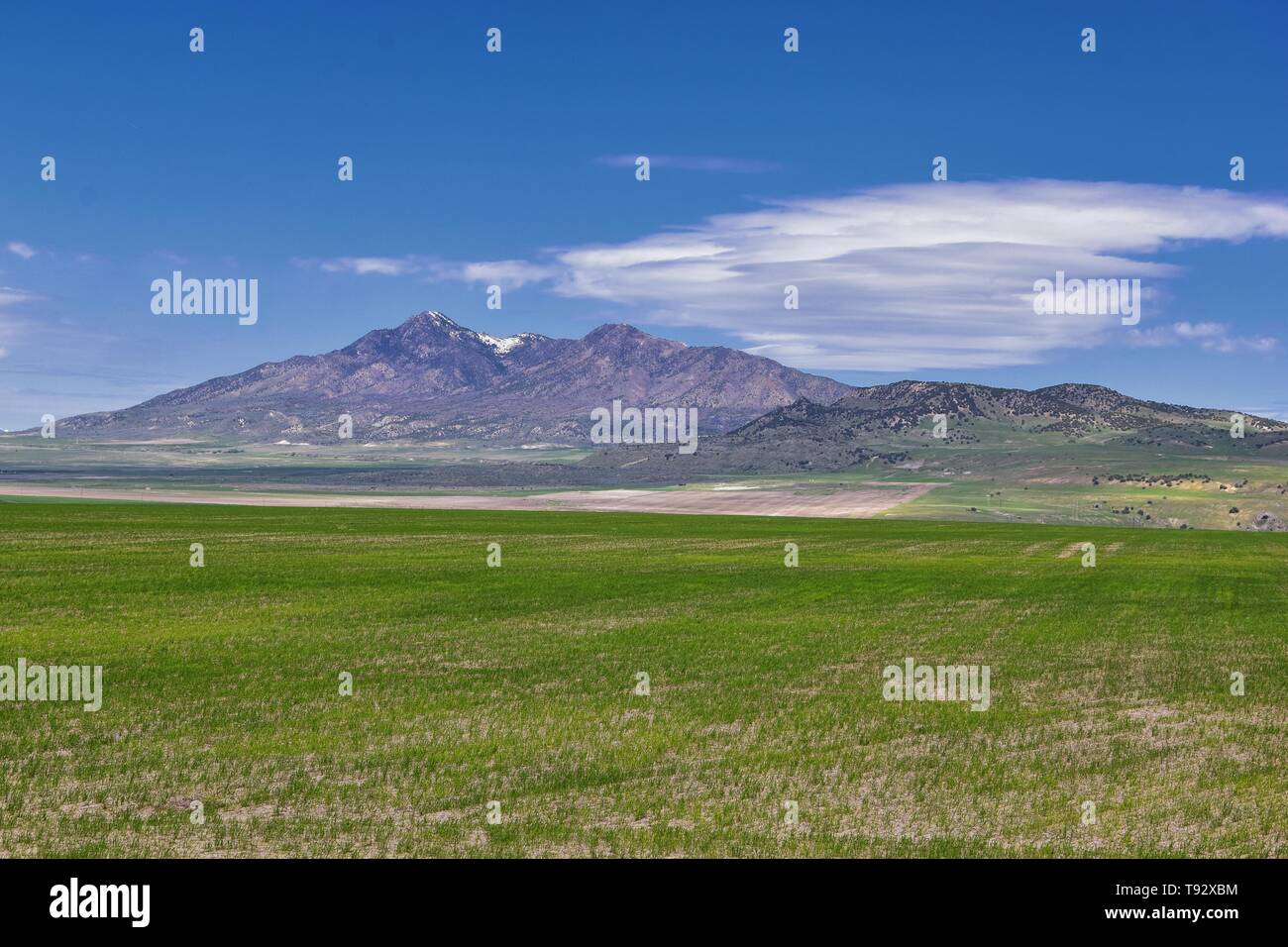 Rocky fielding hi-res stock photography and images - Alamy
