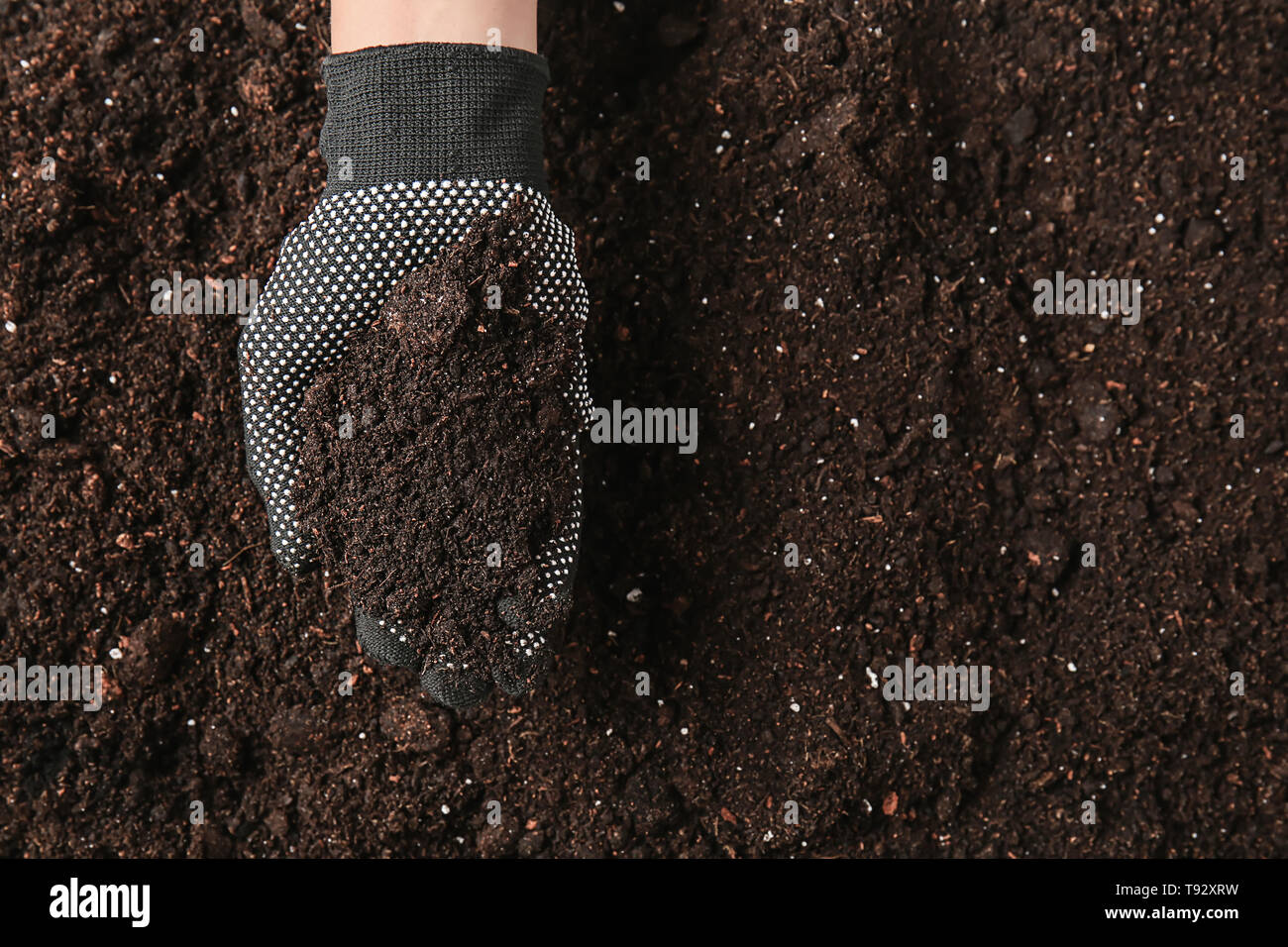 Human hand with soil Stock Photo - Alamy