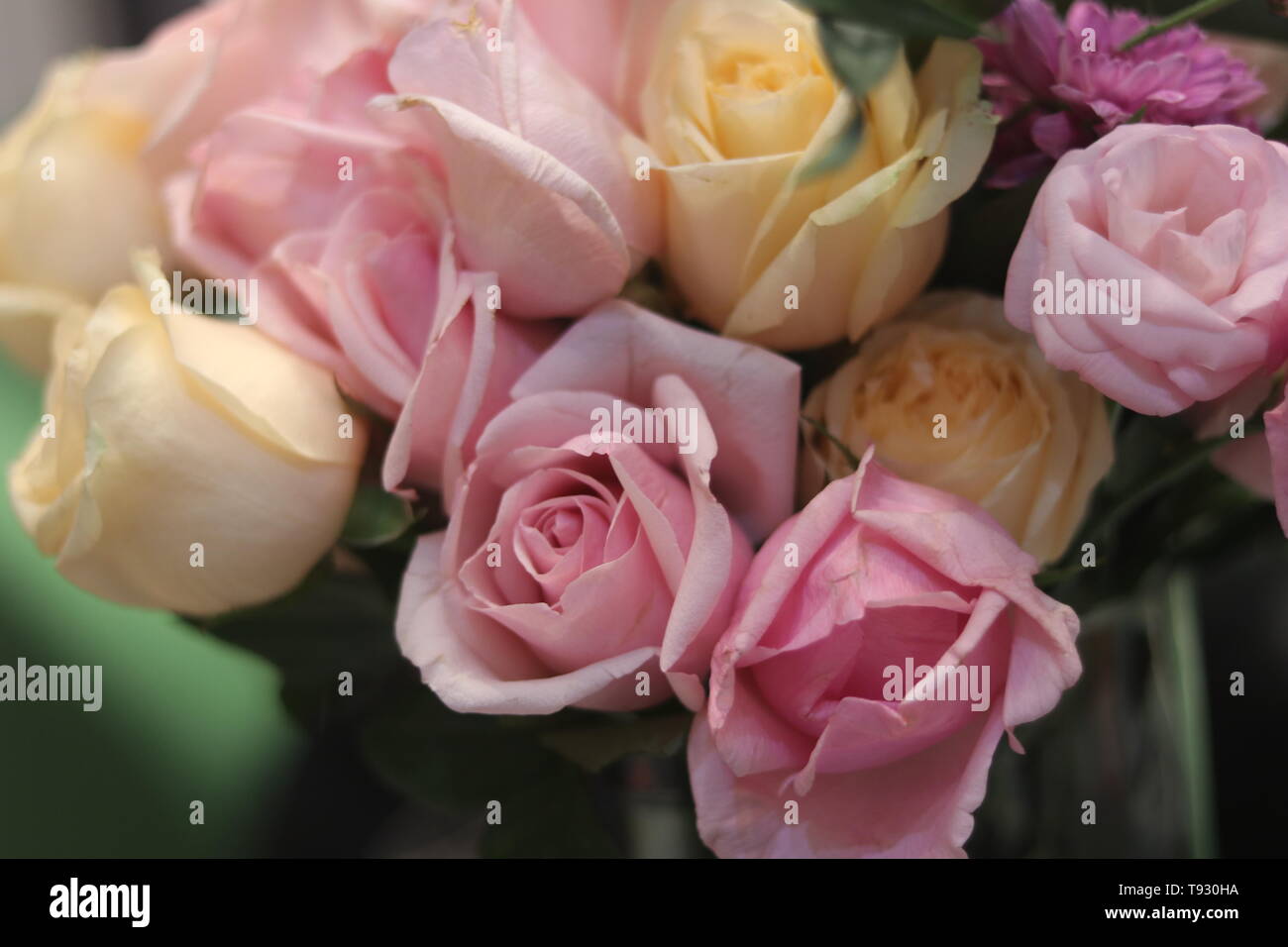 Beautiful roses flower shop Stock Photo - Alamy