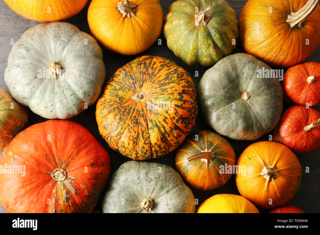 Different fresh pumpkins, top view Stock Photo - Alamy