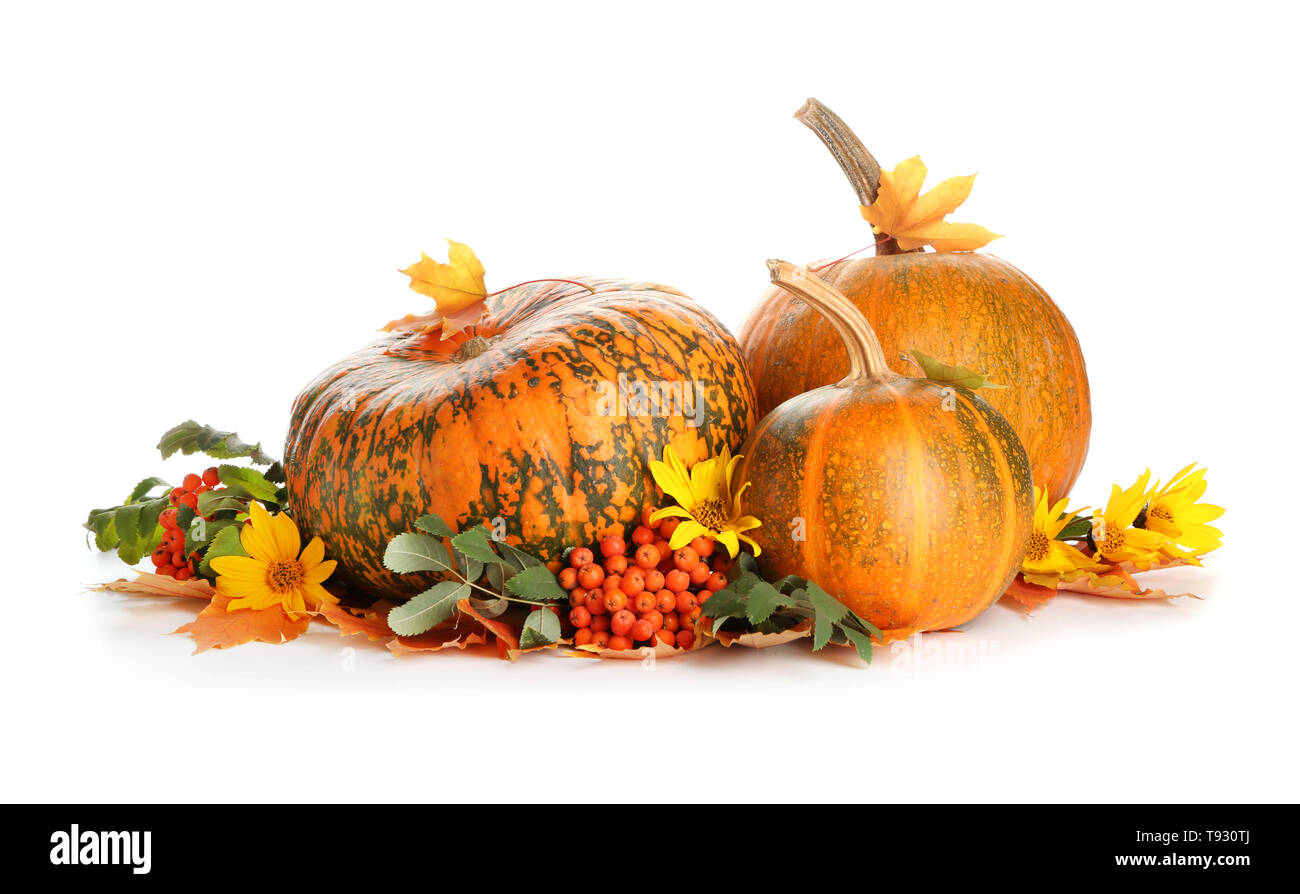 Squash and berries Cut Out Stock Images & Pictures - Alamy