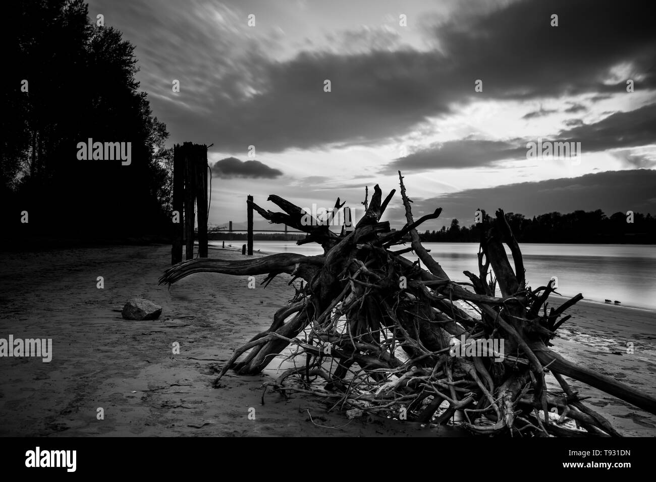 River view beach nature Black and White Stock Photos & Images - Alamy