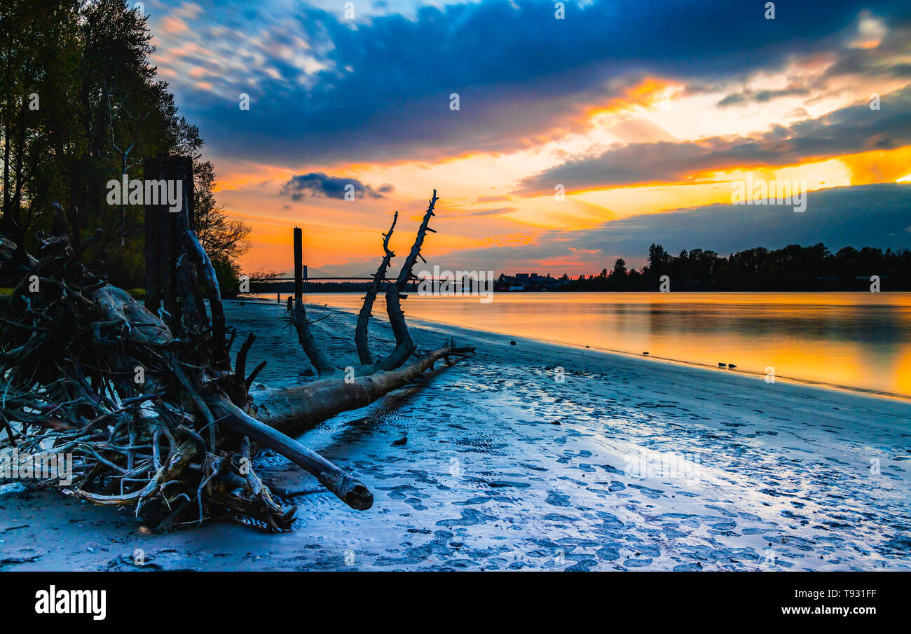 Log on beach, spectacular sunset above Stock Photo - Alamy