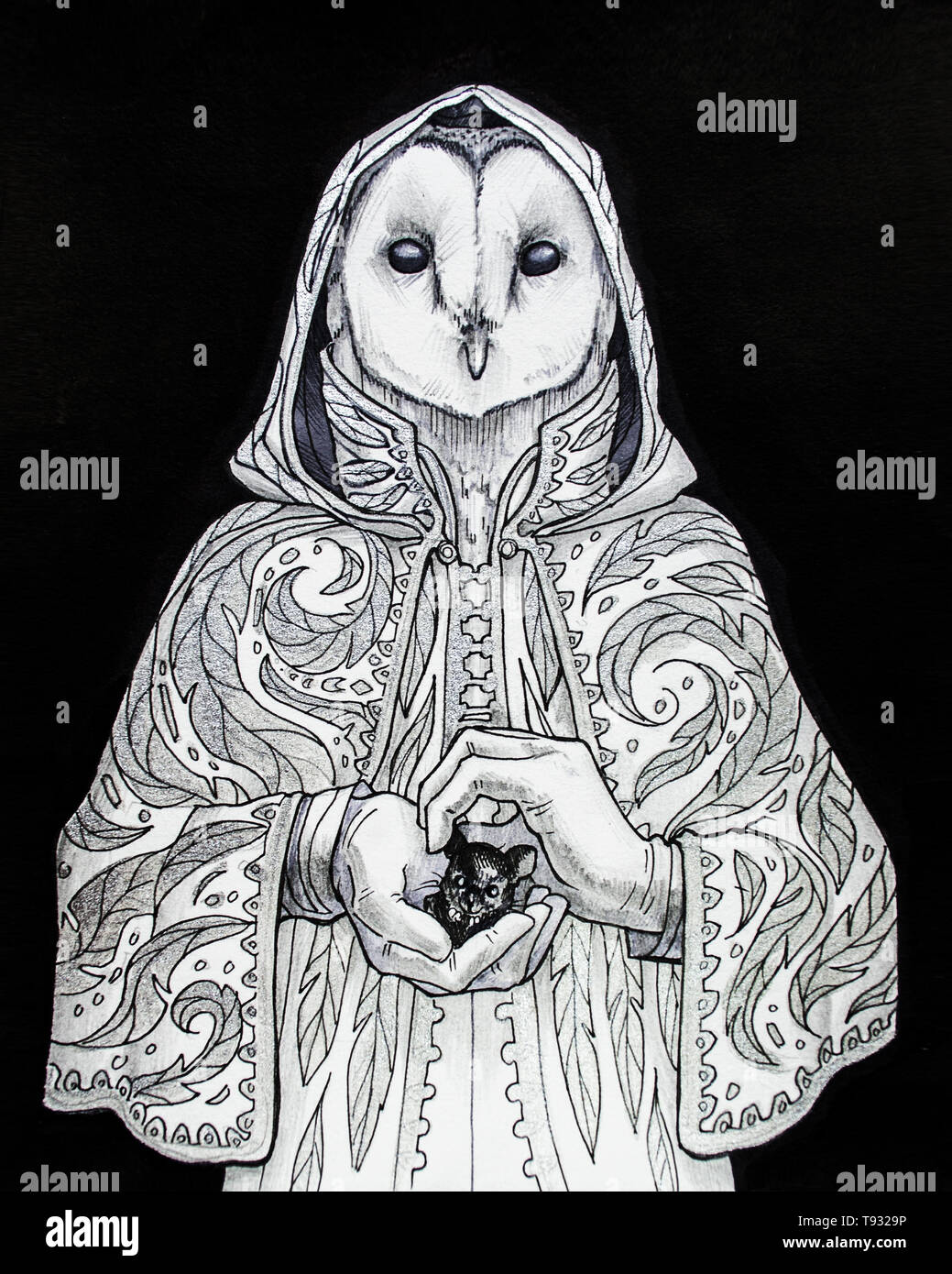 Church Owl High Resolution Stock Photography and Images - Alamy