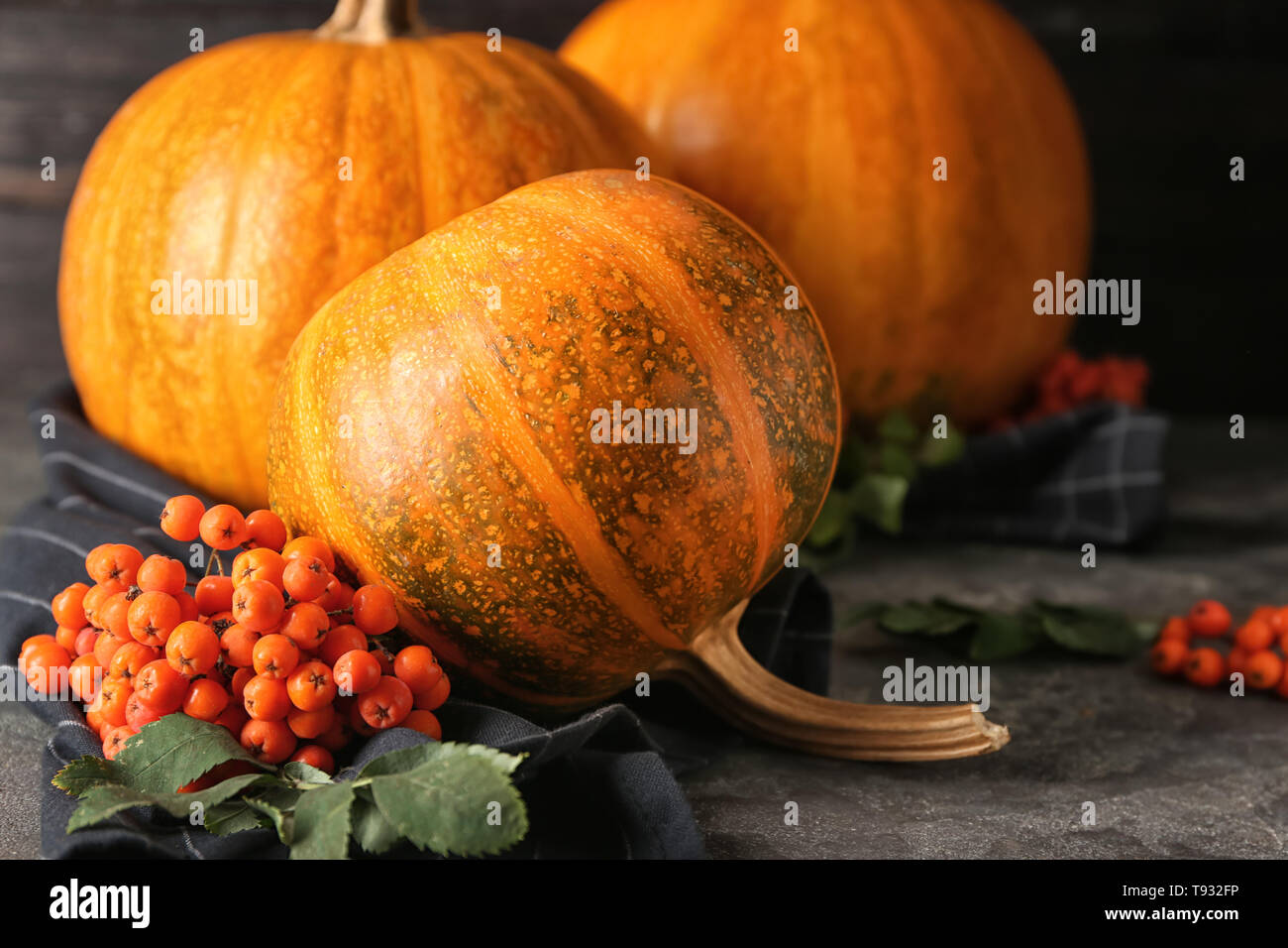 Whole grey pumpkin hi-res stock photography and images - Alamy
