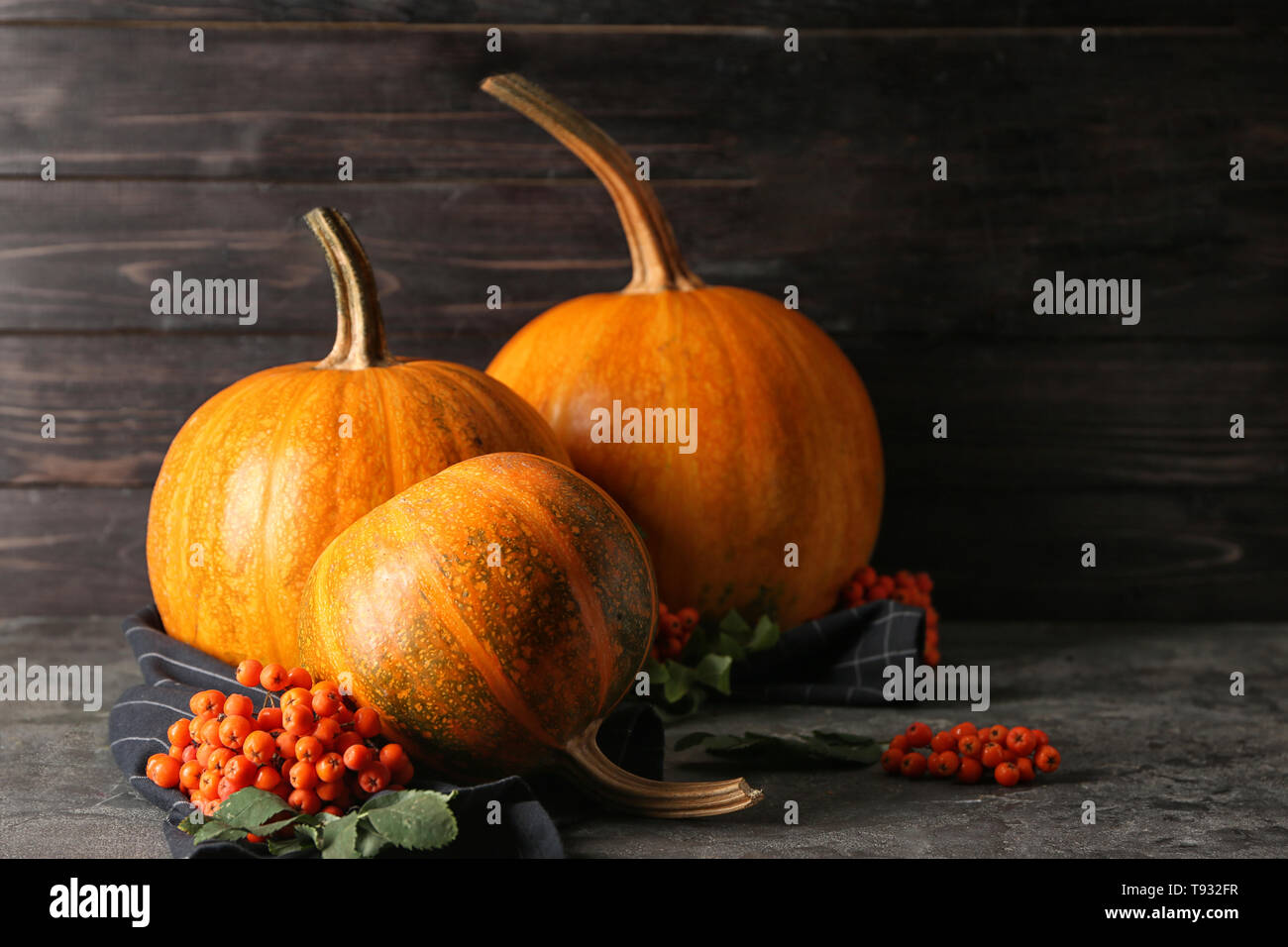 Whole grey pumpkin hi-res stock photography and images - Alamy