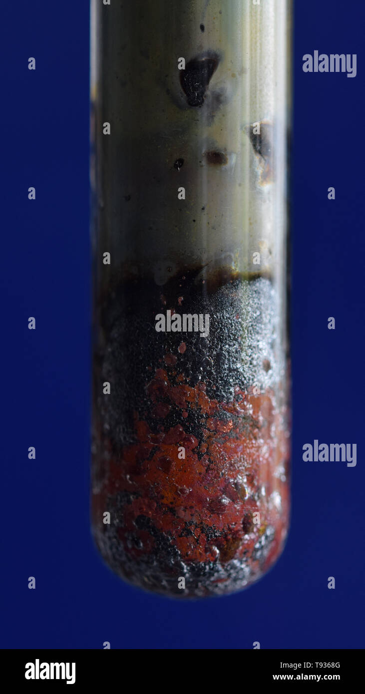 Elemental Copper formed in a chemical reaction Stock Photo - Alamy