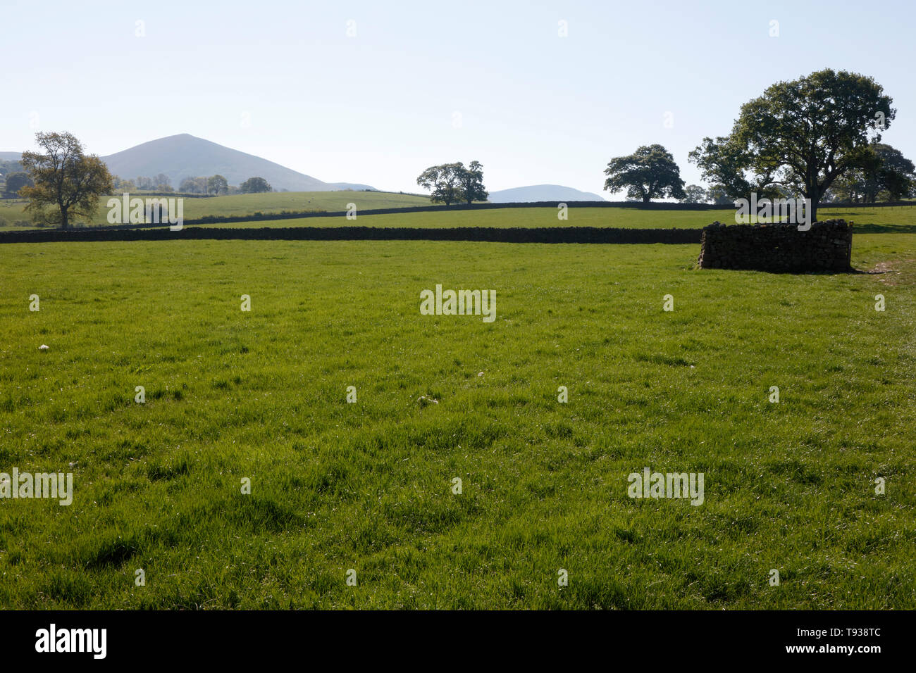 Murton Pike and Roman Fell, Eden Valley, Cumbria, England, UK Stock ...