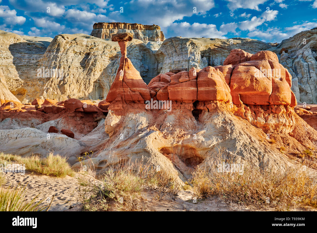 Toadstool Hoodoos, Grand Staircase-Escalante National Monument, Utah ...