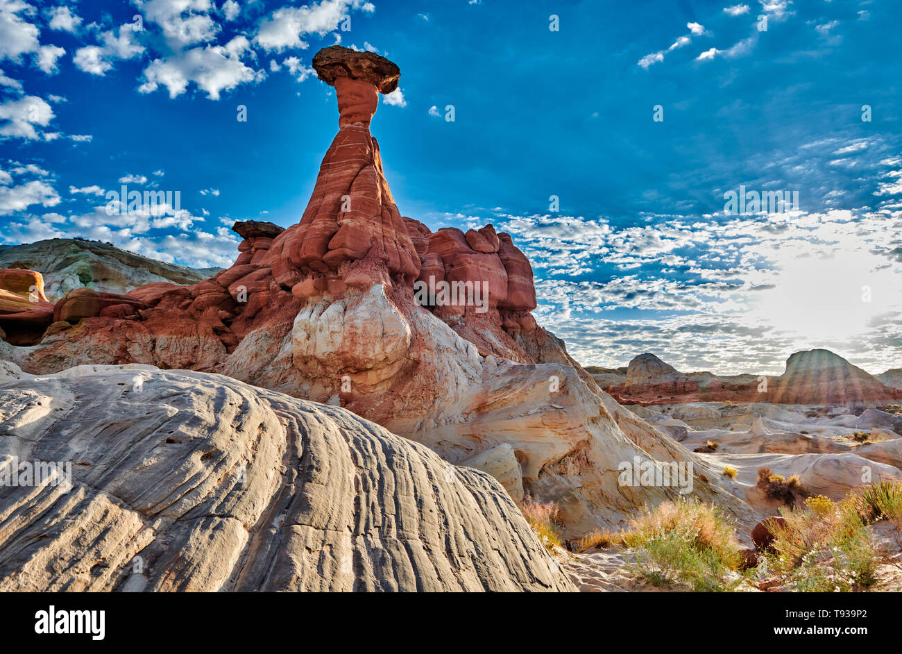 Toadstool Hoodoos, Grand Staircase-Escalante National Monument, Utah ...