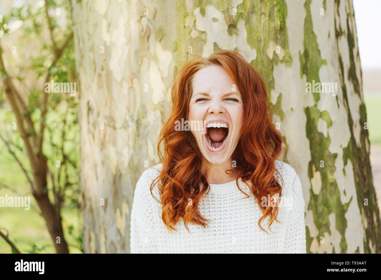 Loud moth hi-res stock photography and images - Alamy