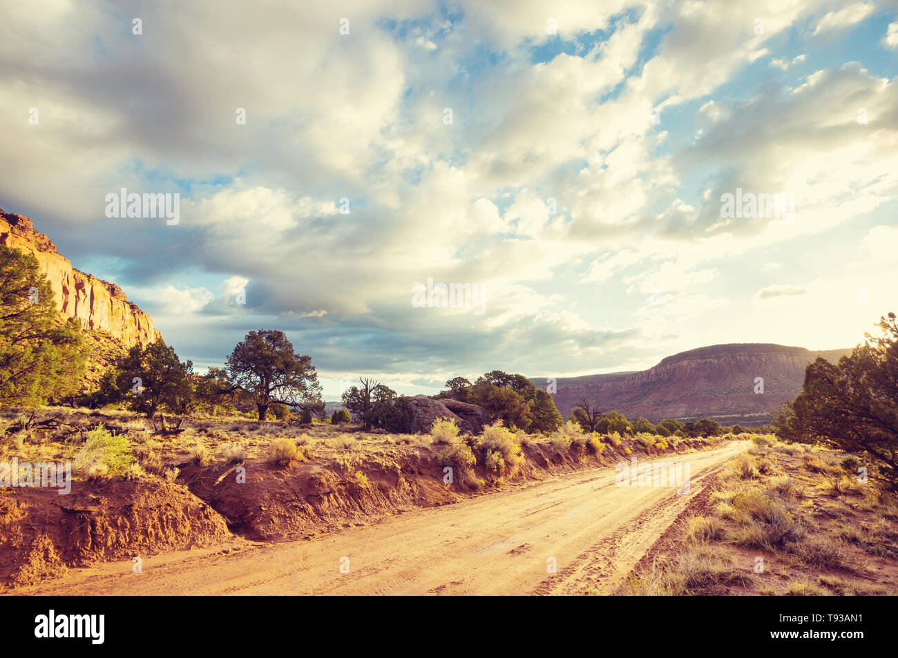 Road in the prairie country. Deserted natural travel background Stock ...
