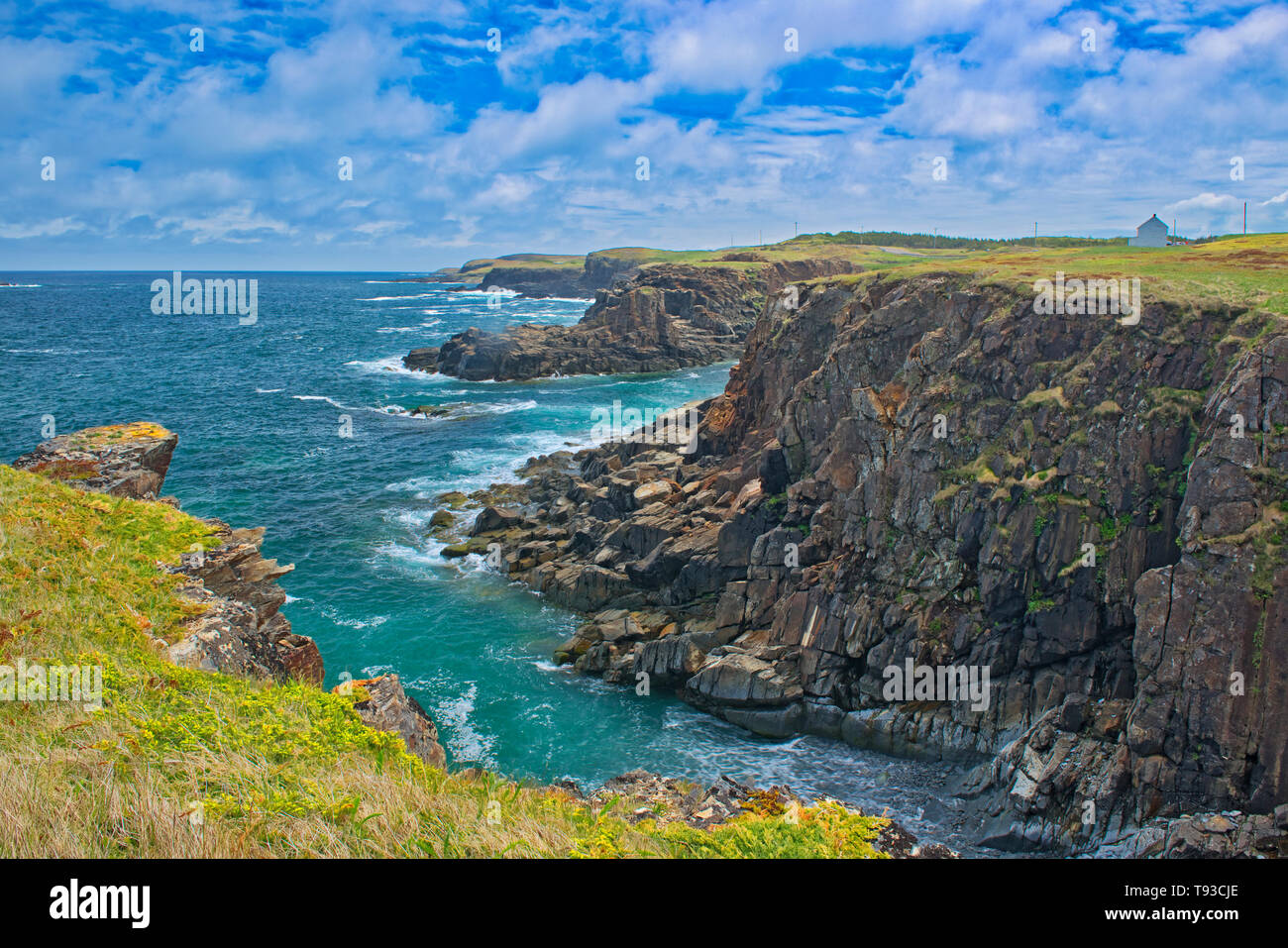 Rocky shoreline looking towards the Atlantic Ocean on the Bonavista ...