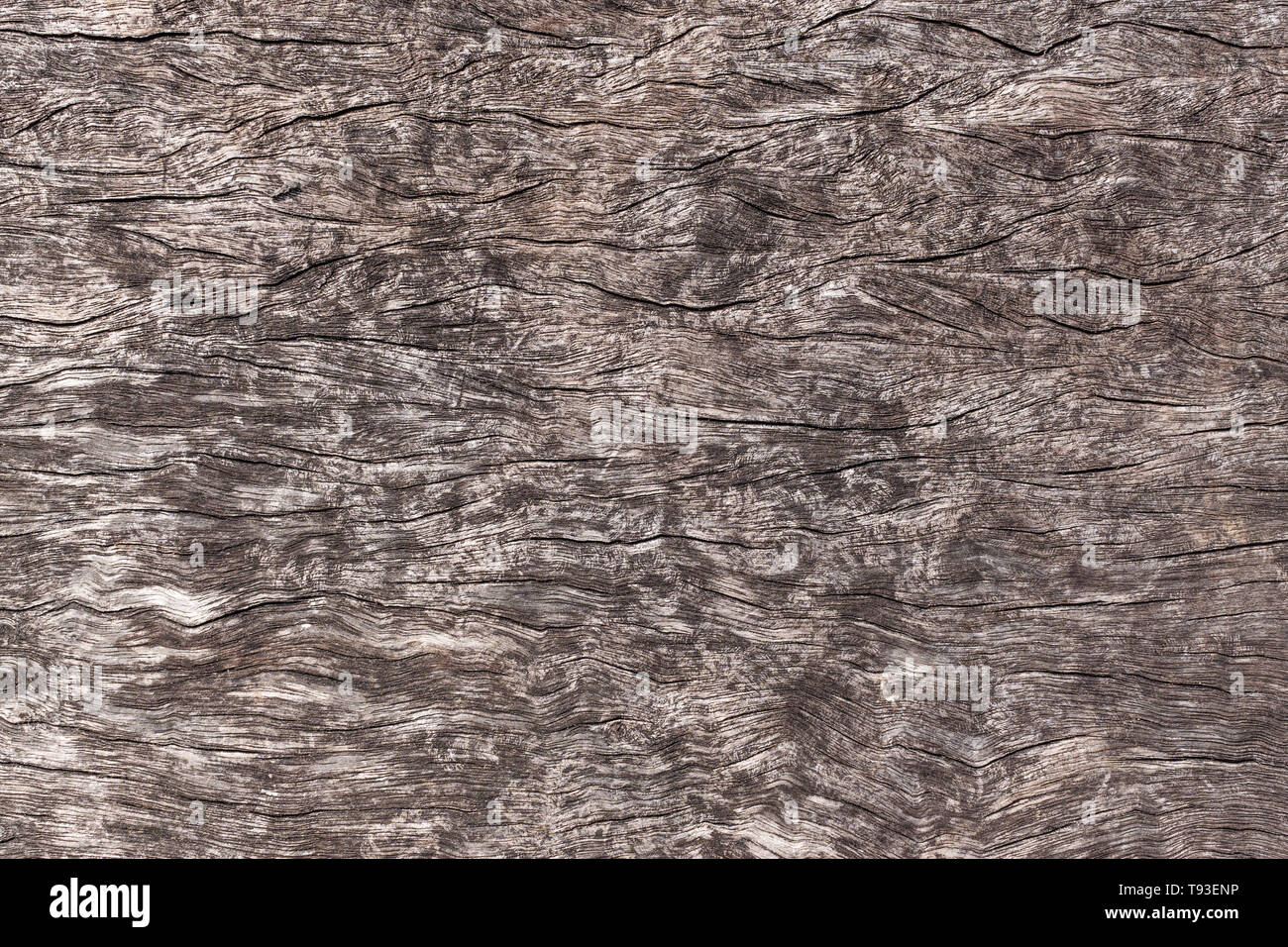 Seamless textures hi-res stock photography and images - Alamy