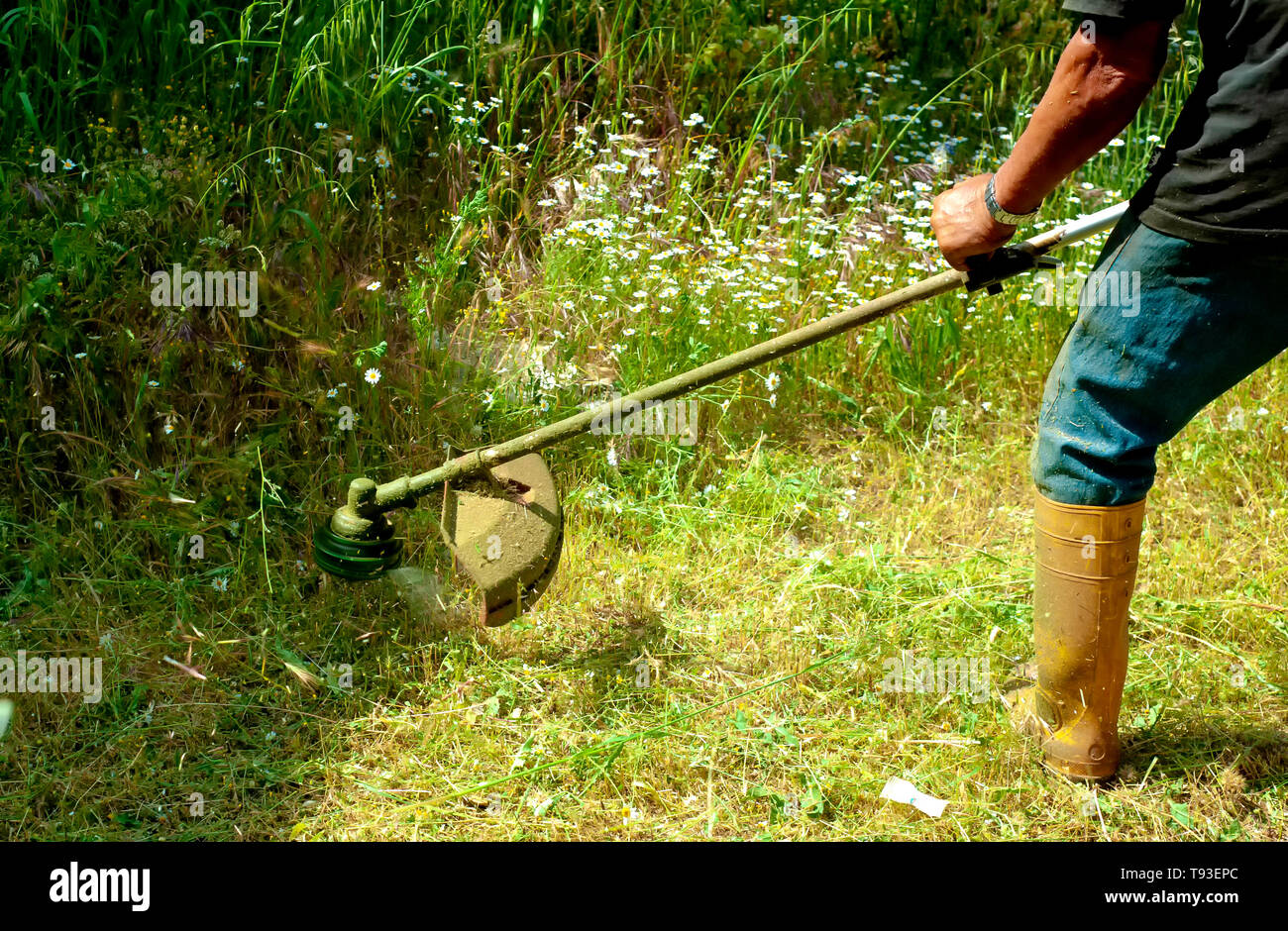 man mowing the grass, the mower close up Stock Photo - Alamy