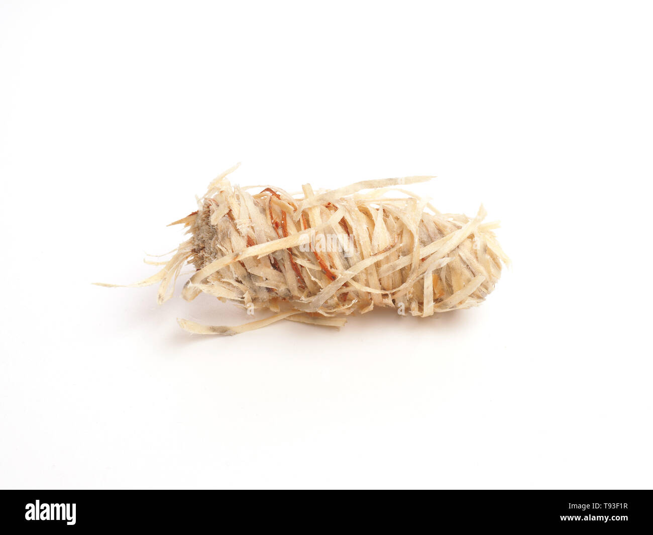 Fireplace igniter on a white studio background Stock Photo - Alamy