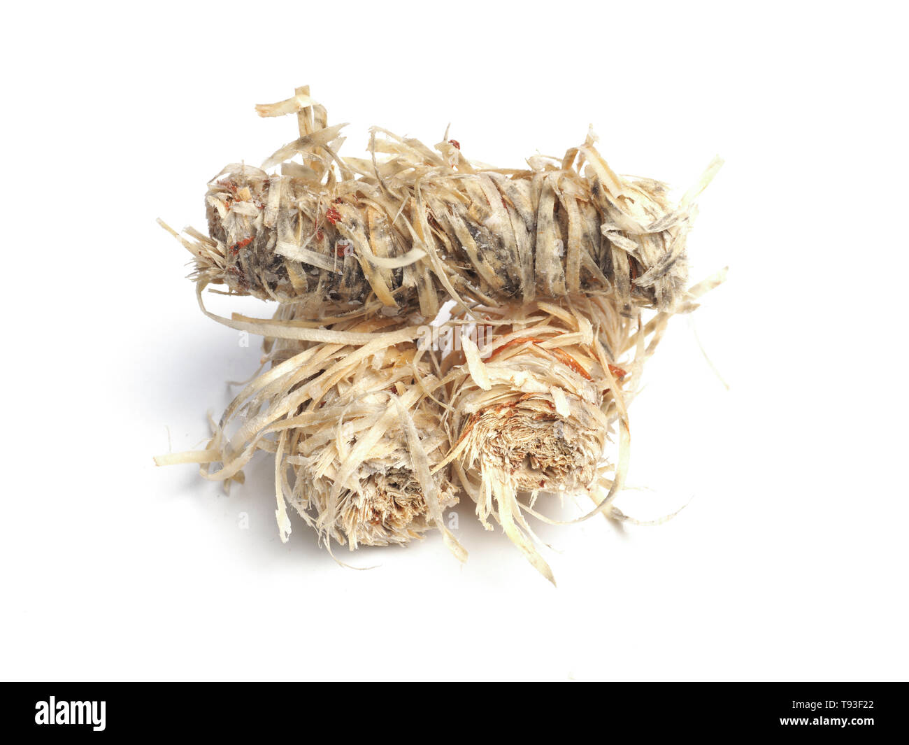 Fireplace igniter on a white studio background Stock Photo - Alamy