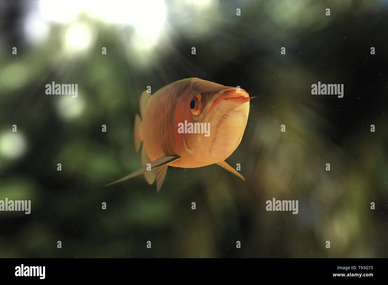 3D illustration of tropical river fish Stock Photo - Alamy