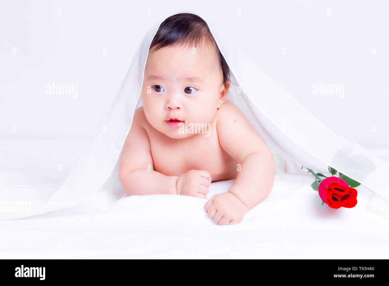 Cute asian chinese baby girl hi-res stock photography and images - Alamy