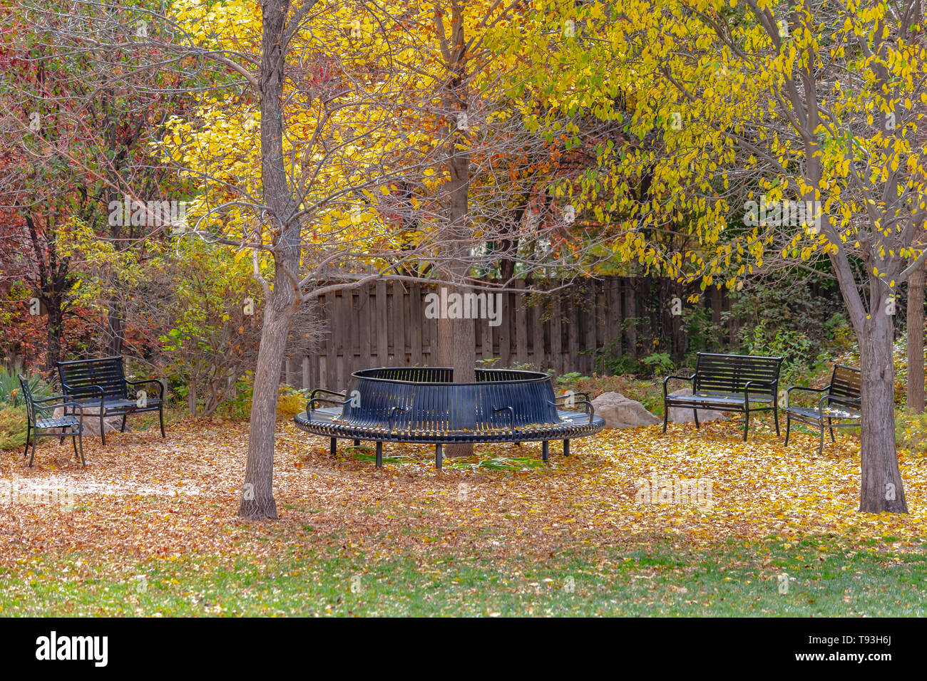 Benches under trees in a park hi-res stock photography and images - Alamy