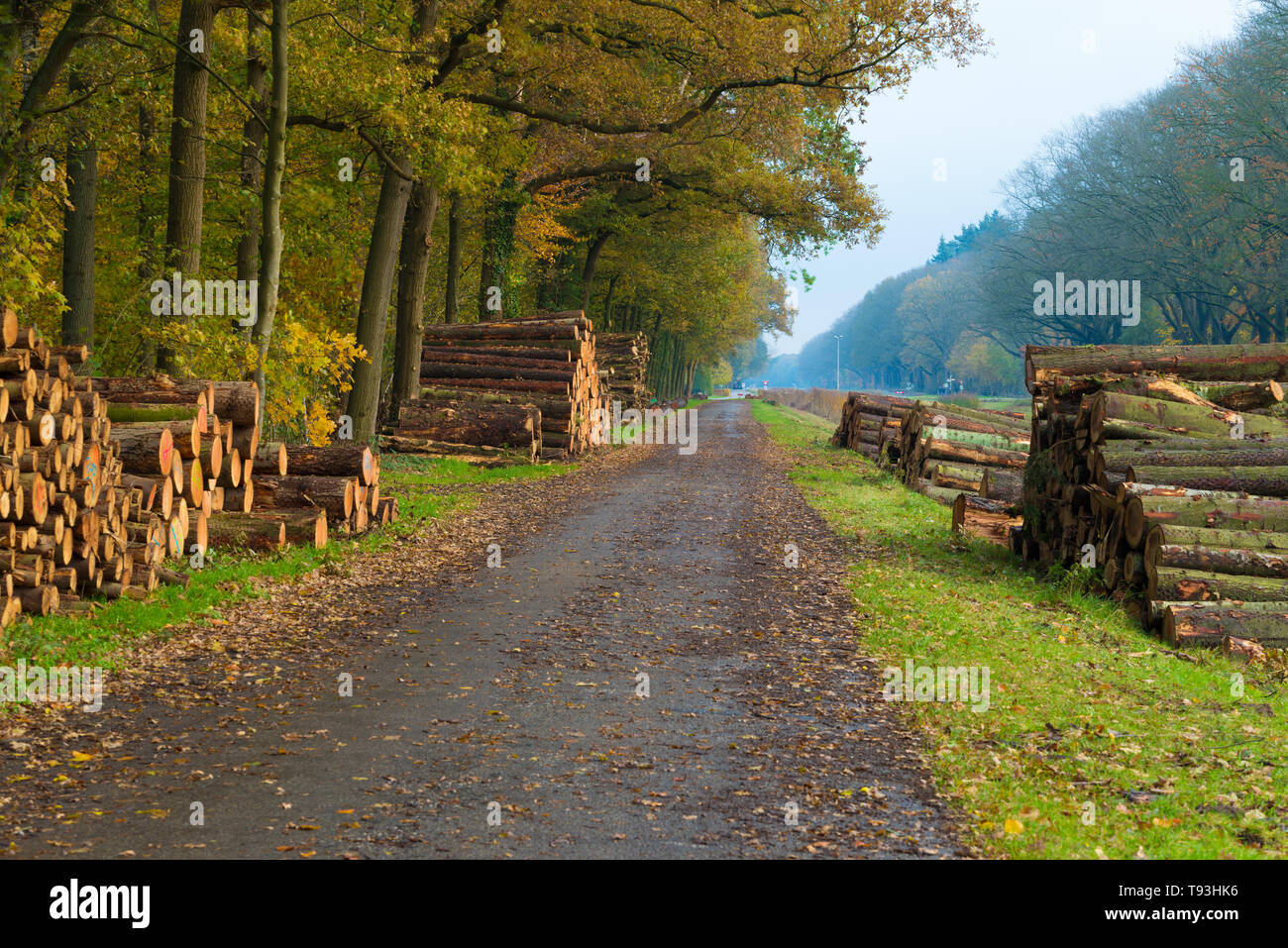 Road ready hi-res stock photography and images - Alamy