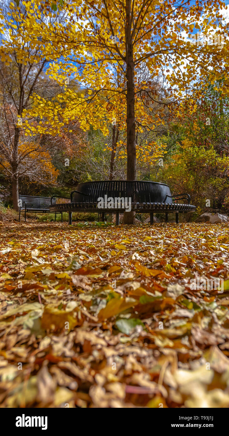 Clear Vertical Beautiful park with relaxing seats and ground covered ...