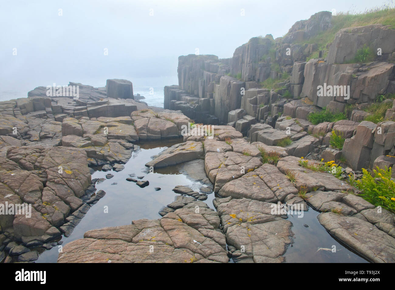 Basalt rock in fog along the Bay of Fundy Brier Island on DIgby Neck ...