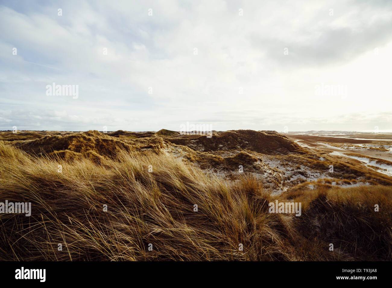 Beautiful atmosphere of the island of Amrum. Impressive dunes with ...
