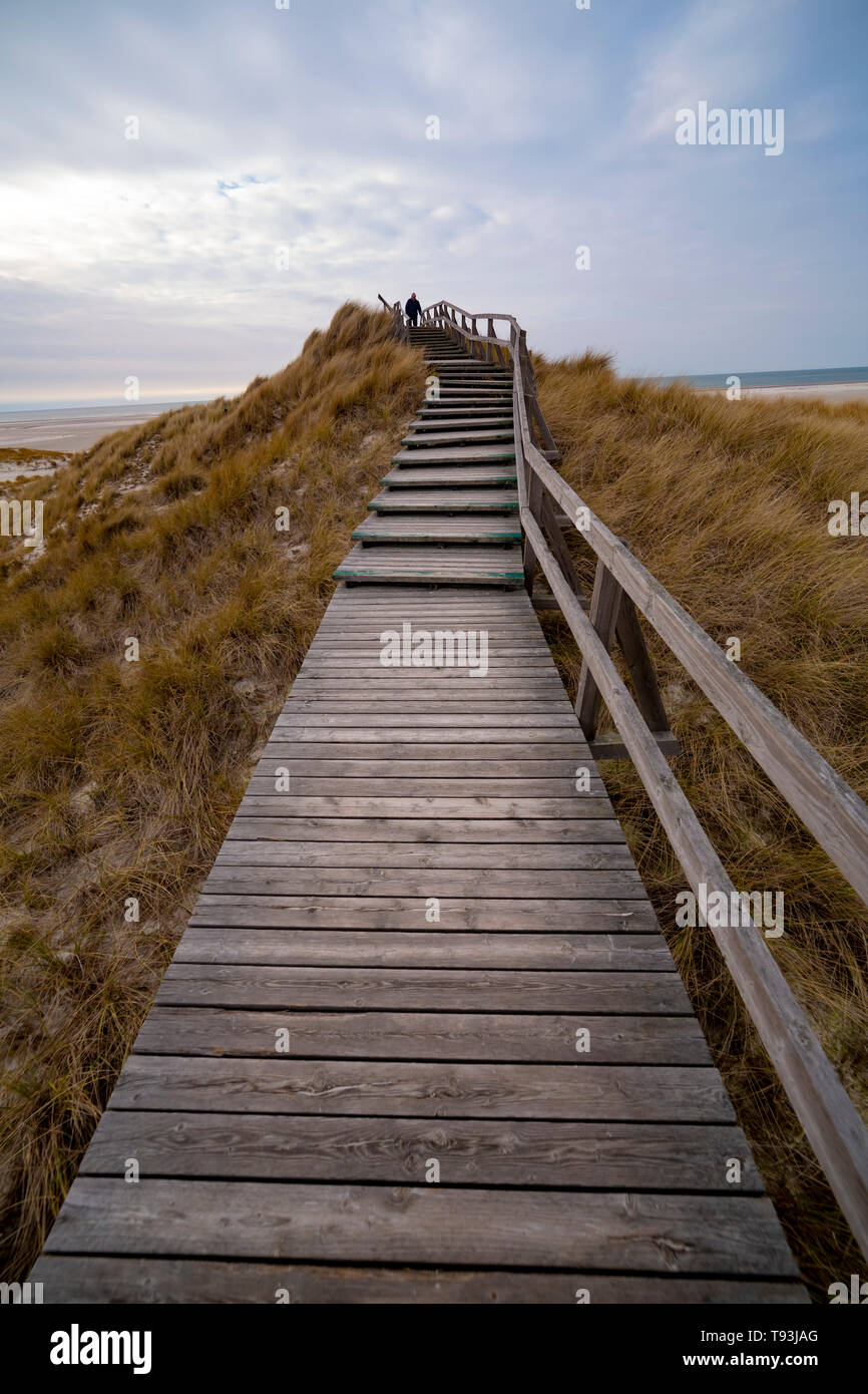 Wooden path with stairs or boardwalk leading through dunes landscape on ...