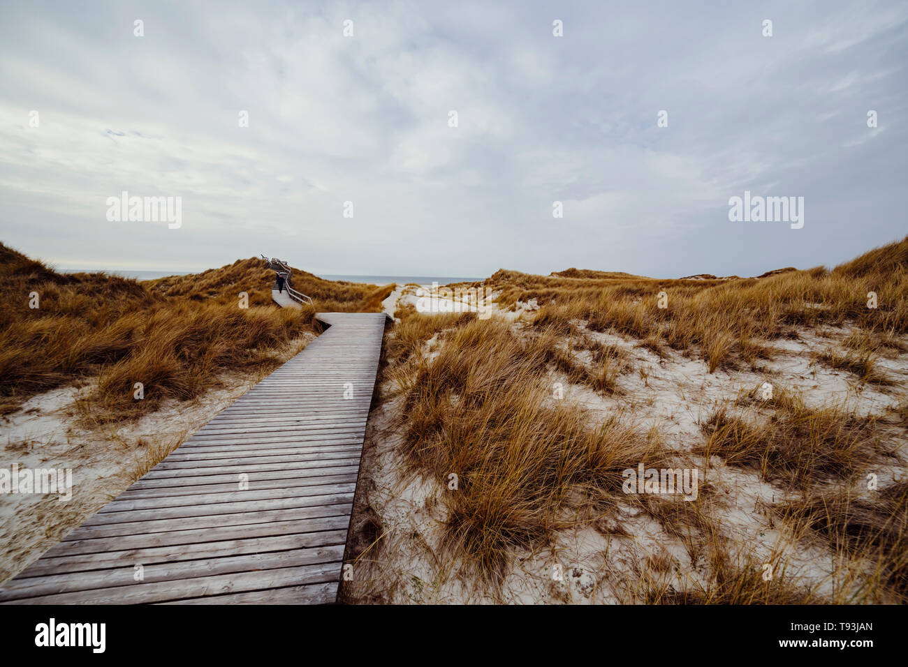Amrum Germany Boardwalk Amrum High Resolution Stock Photography and ...