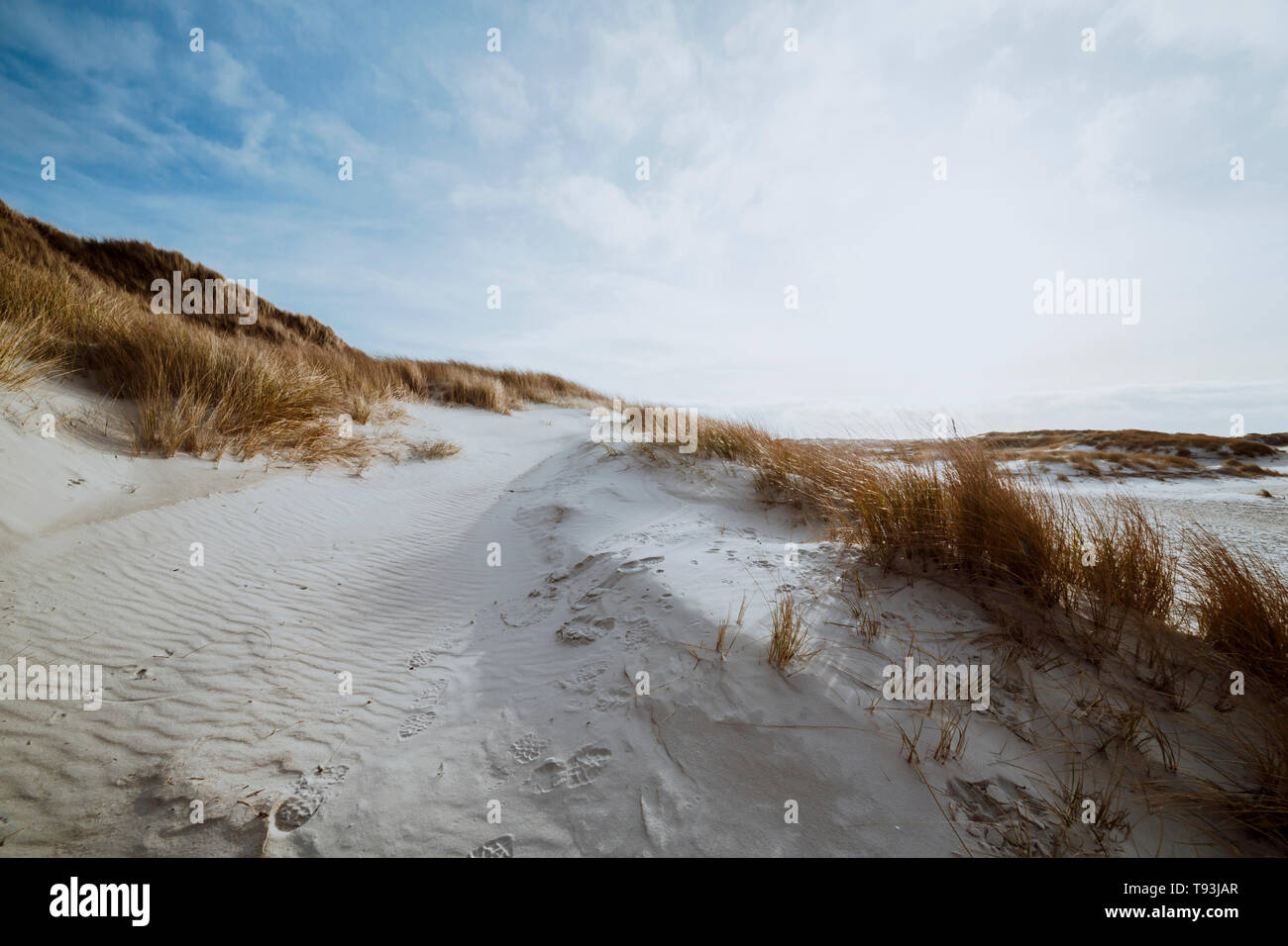 Hardy culture hi-res stock photography and images - Alamy