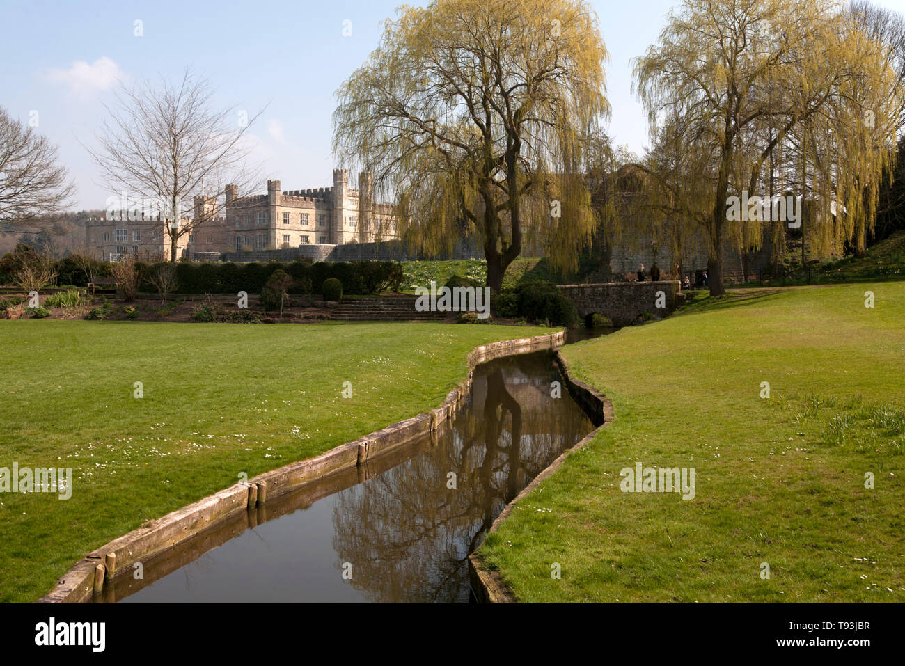 cedar lawn leeds castle maidstone kent england Stock Photo - Alamy