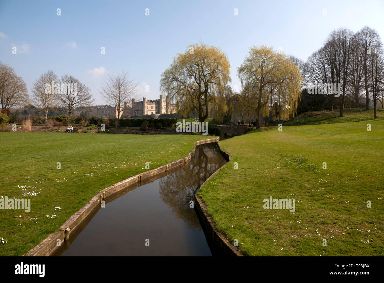 cedar lawn leeds castle maidstone kent england Stock Photo - Alamy