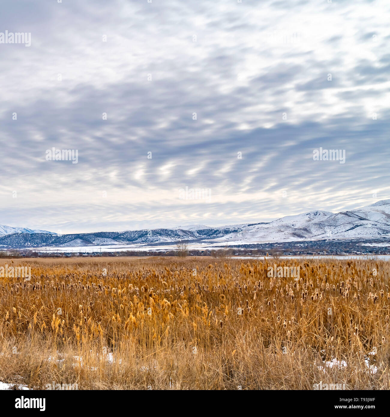 Grassy square hi-res stock photography and images - Alamy