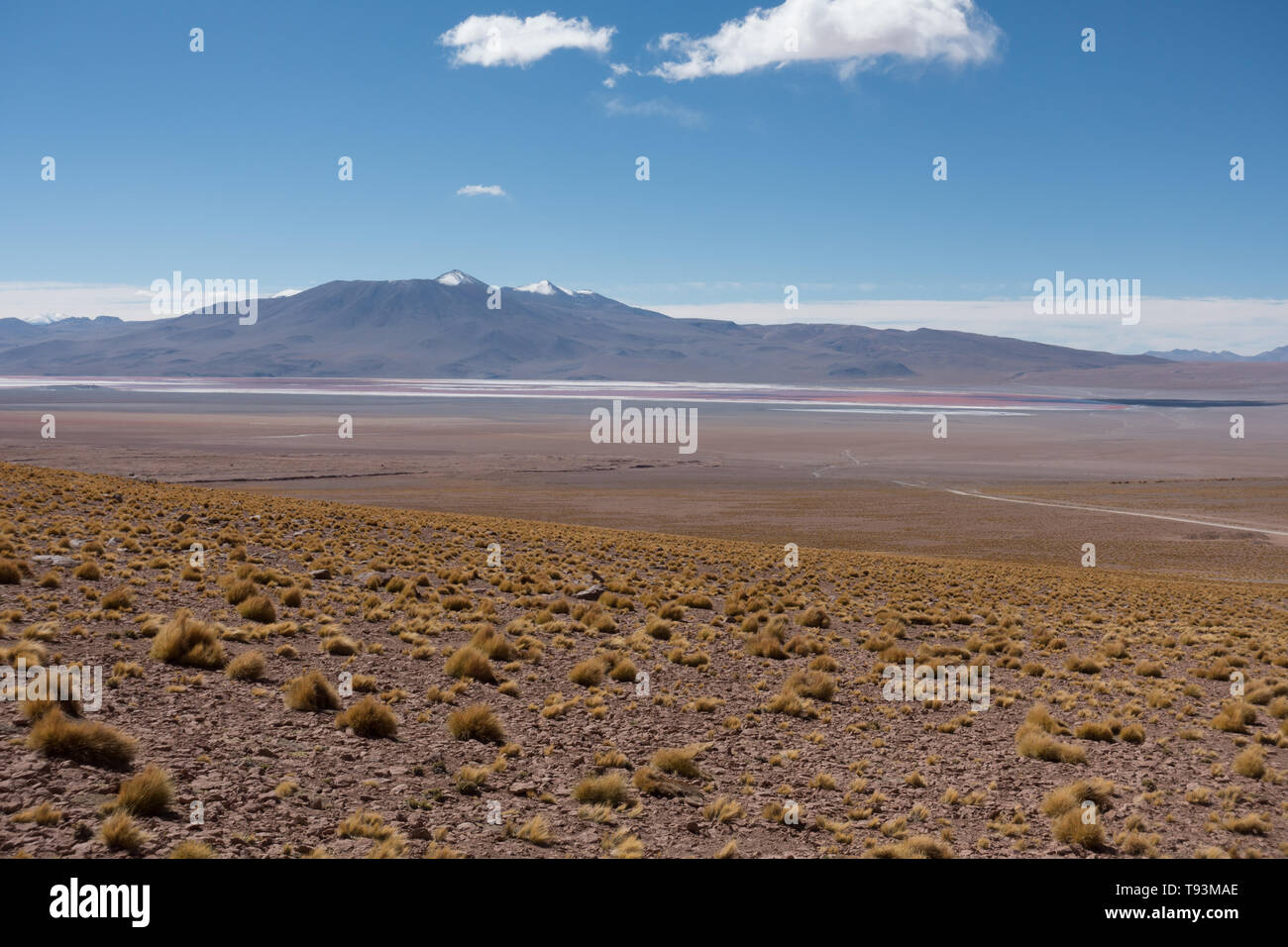 Beautiful scenery bolivia hi-res stock photography and images - Alamy
