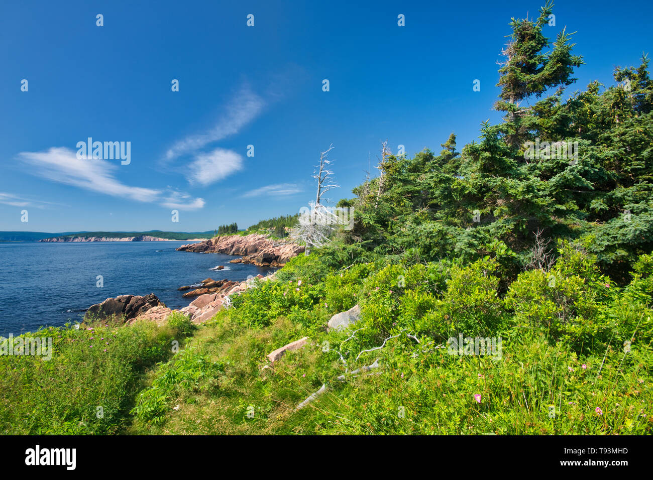 Rocky shoreline along the Cabot Strait (Atlantic Ocean) at Lakies Head ...