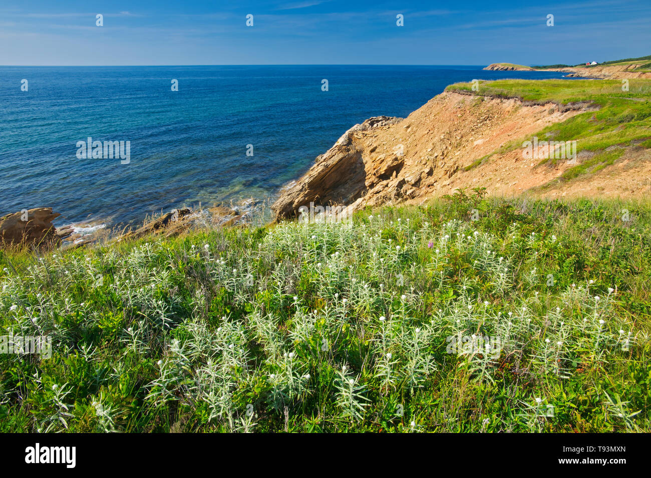 Cabot Trail. Cape Breton Island. Appalachian Mountain chain. Marjoree ...