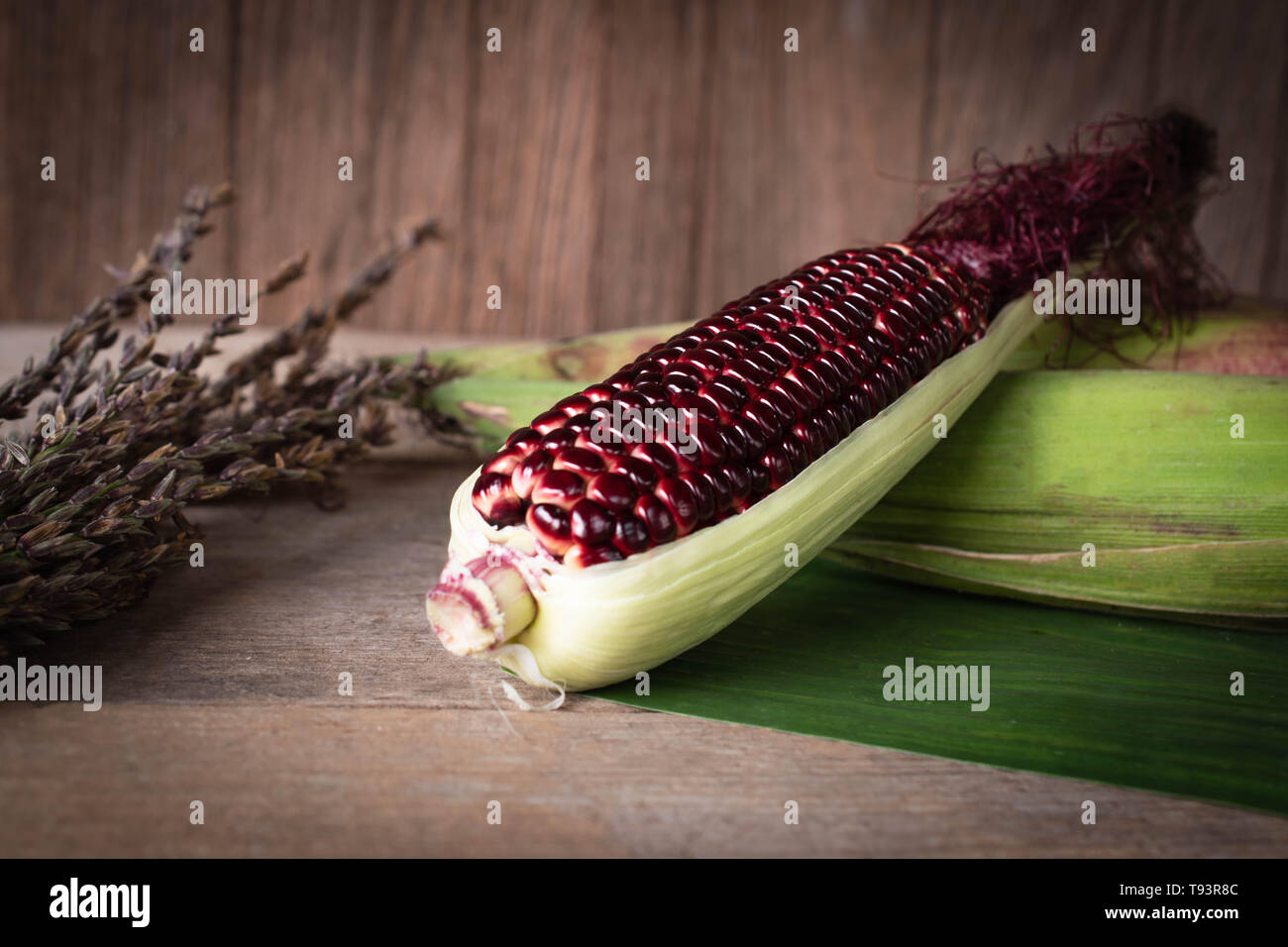 Siam Ruby Queen is super sweet corn with red color, can be eaten fresh ...