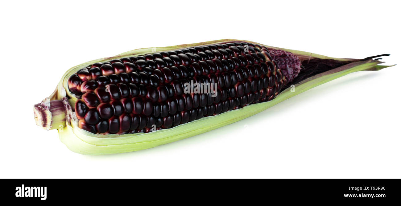 Siam Ruby Queen is super sweet corn with red color, can be eaten fresh ...