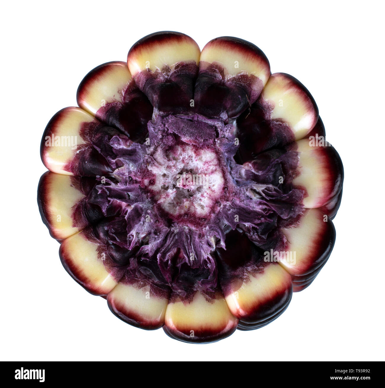 Siam Ruby Queen is super sweet corn with red color, can be eaten fresh ...