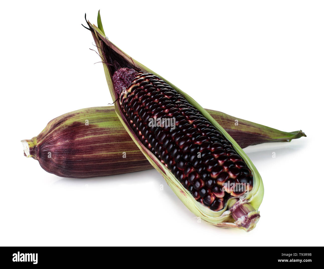 Siam Ruby Queen is super sweet corn with red color, can be eaten fresh ...