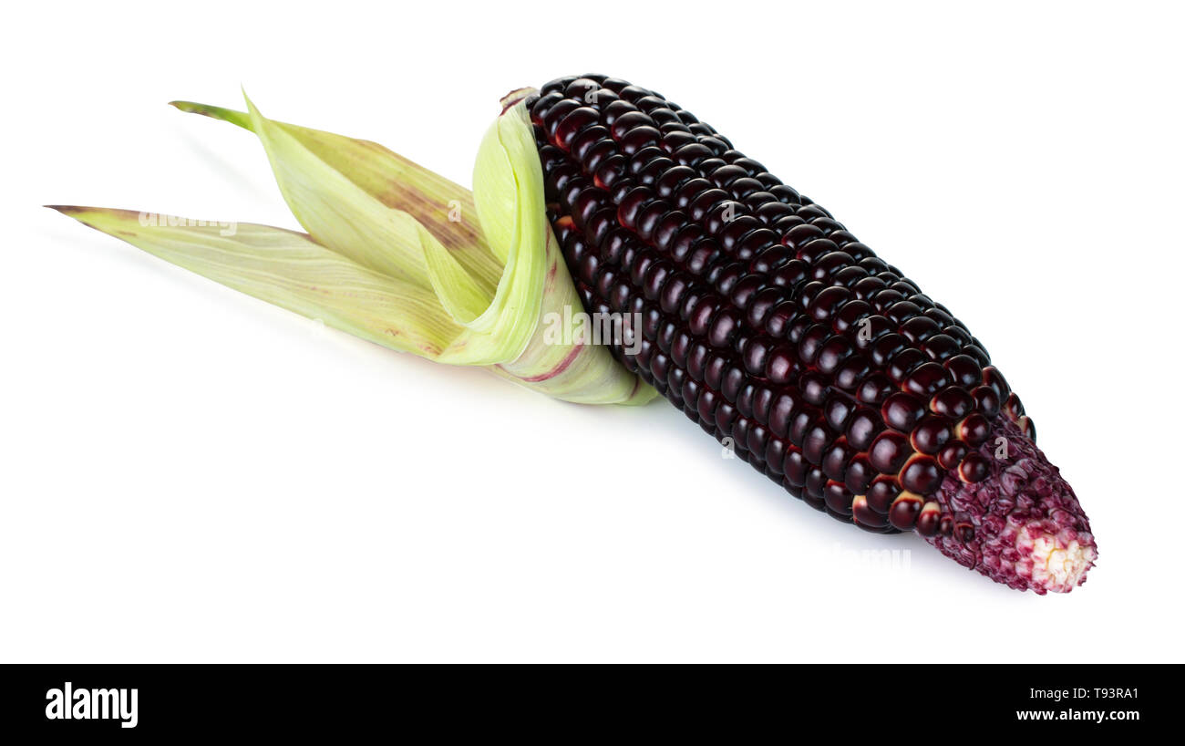 Siam Ruby Queen is super sweet corn with red color, can be eaten fresh ...