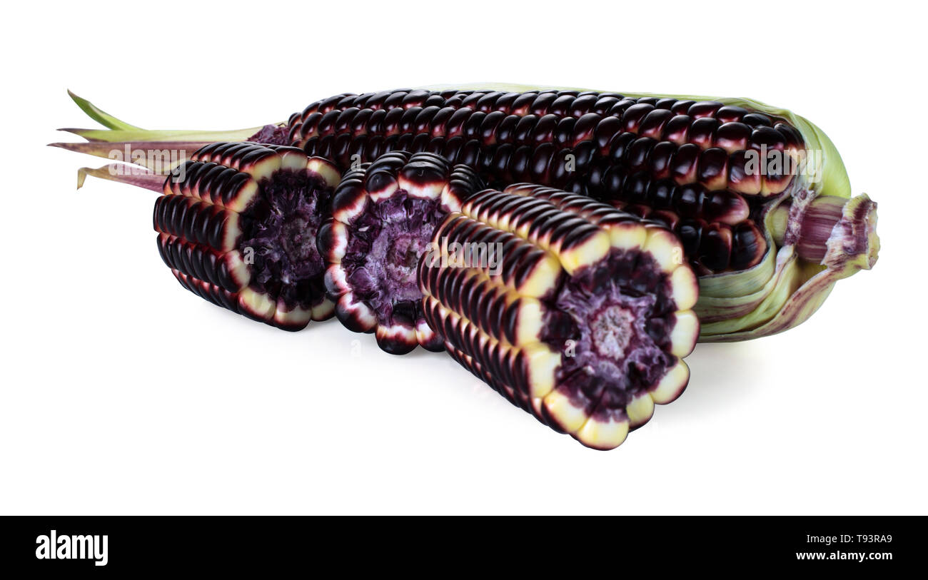 Siam Ruby Queen is super sweet corn with red color, can be eaten fresh ...