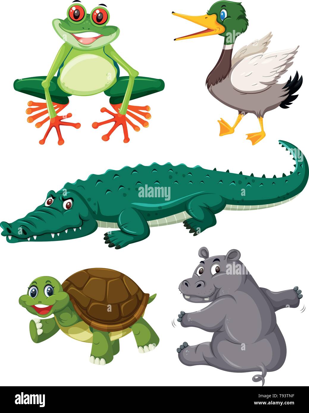 Set of reptiles animals illustration Stock Vector Image & Art - Alamy