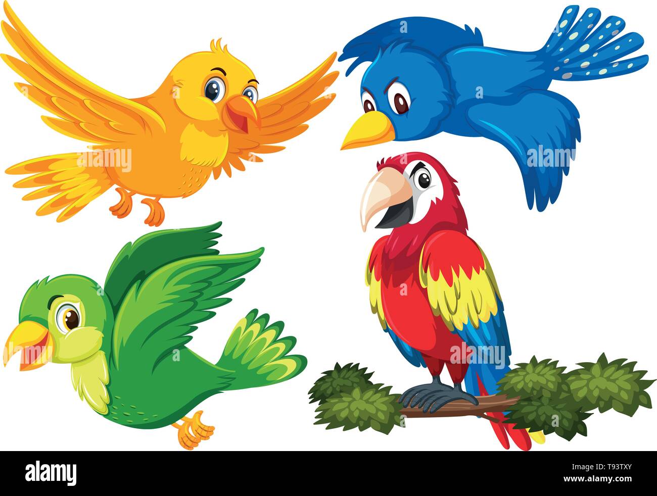 Set of bird character illustration Stock Vector Image & Art - Alamy