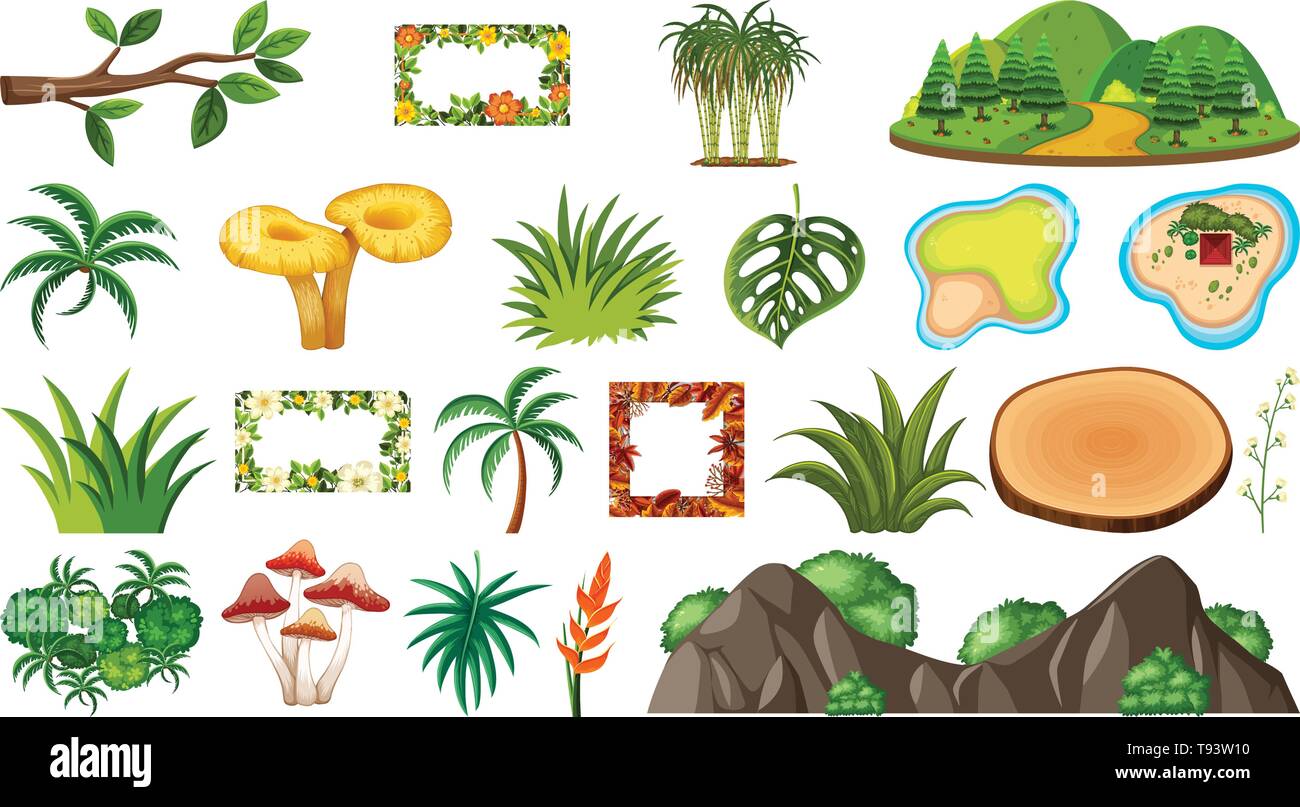 Sugarcane plants Stock Vector Images - Alamy