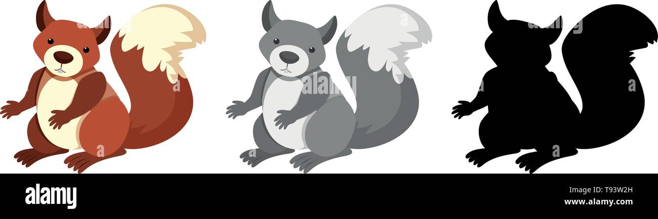 Grey squirrel picture Stock Vector Images - Alamy