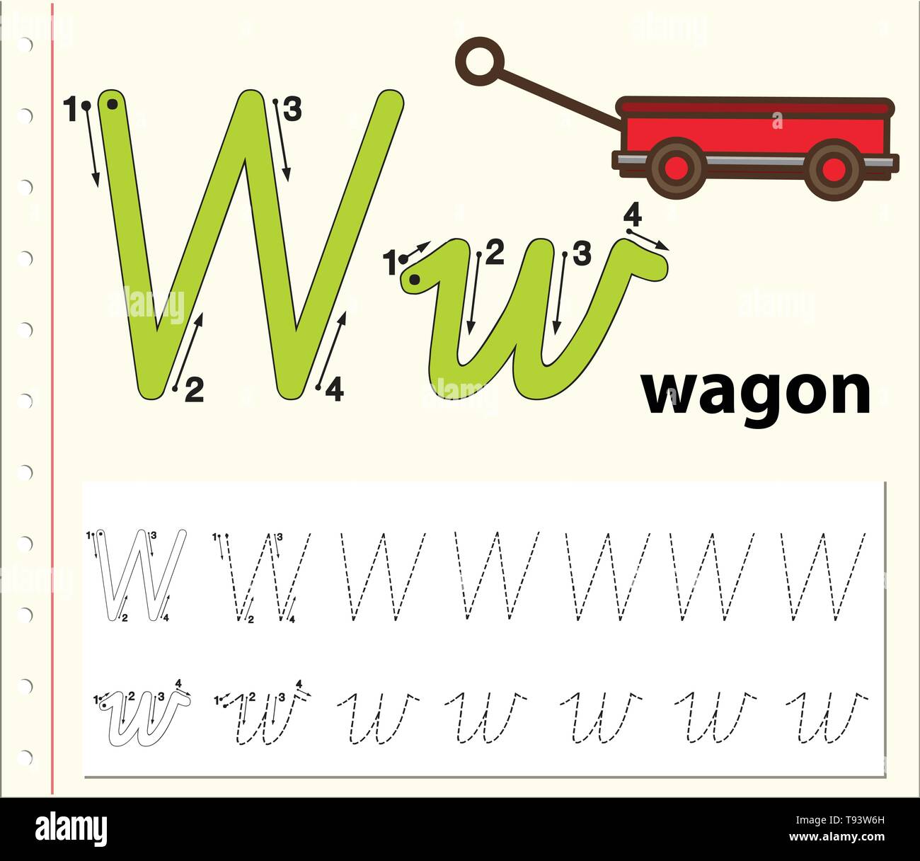 Letter W tracing alphabet worksheets illustration Stock Vector Image ...