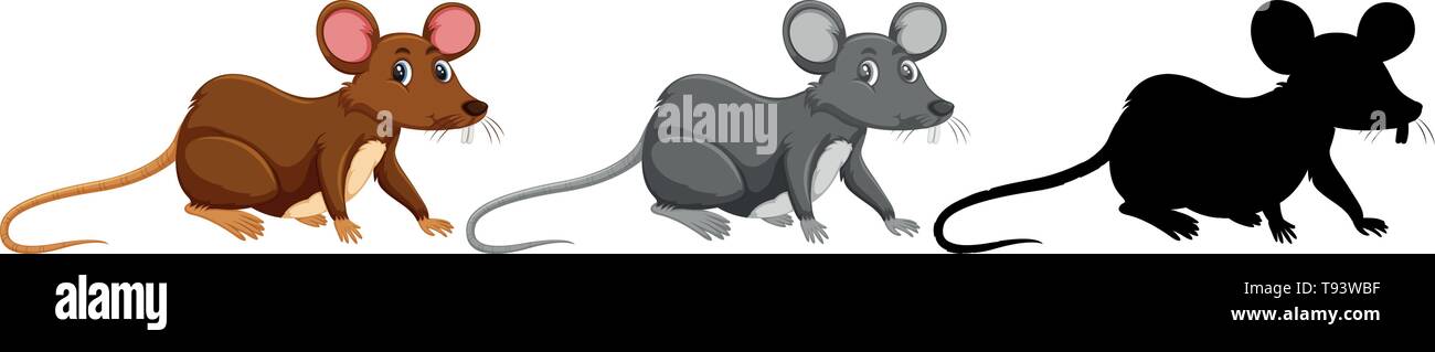 Set of rat animal illustration Stock Vector Image & Art - Alamy