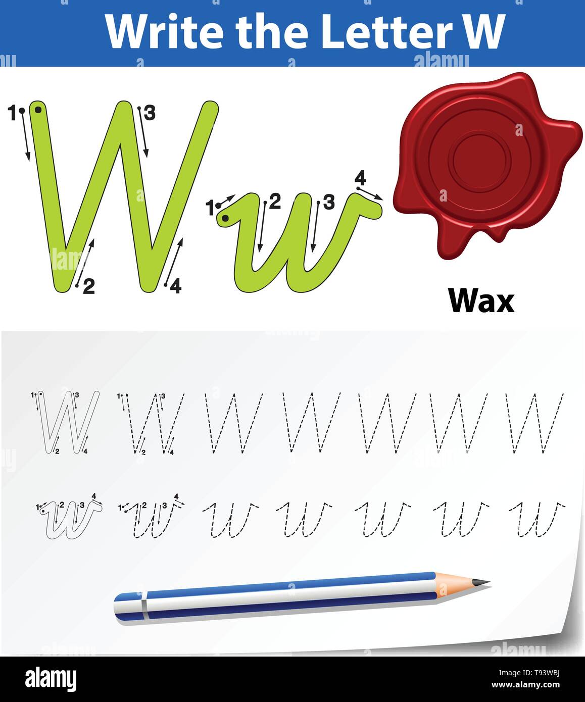 Letter W tracing alphabet worksheets illustration Stock Vector Image ...